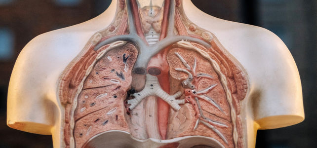 Syndrome De Leigh : Tout Savoir Sur La Maladie | Esanum